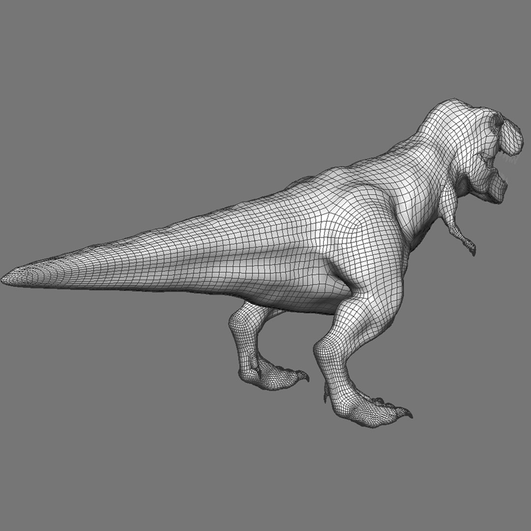 Tyrannosaurus Rex 3d Model
