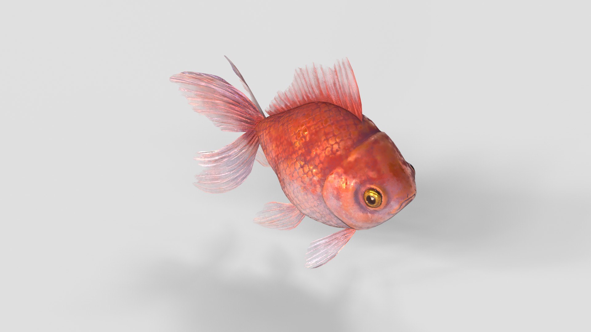 Low Poly Goldfish 3D Model - TurboSquid 2209430