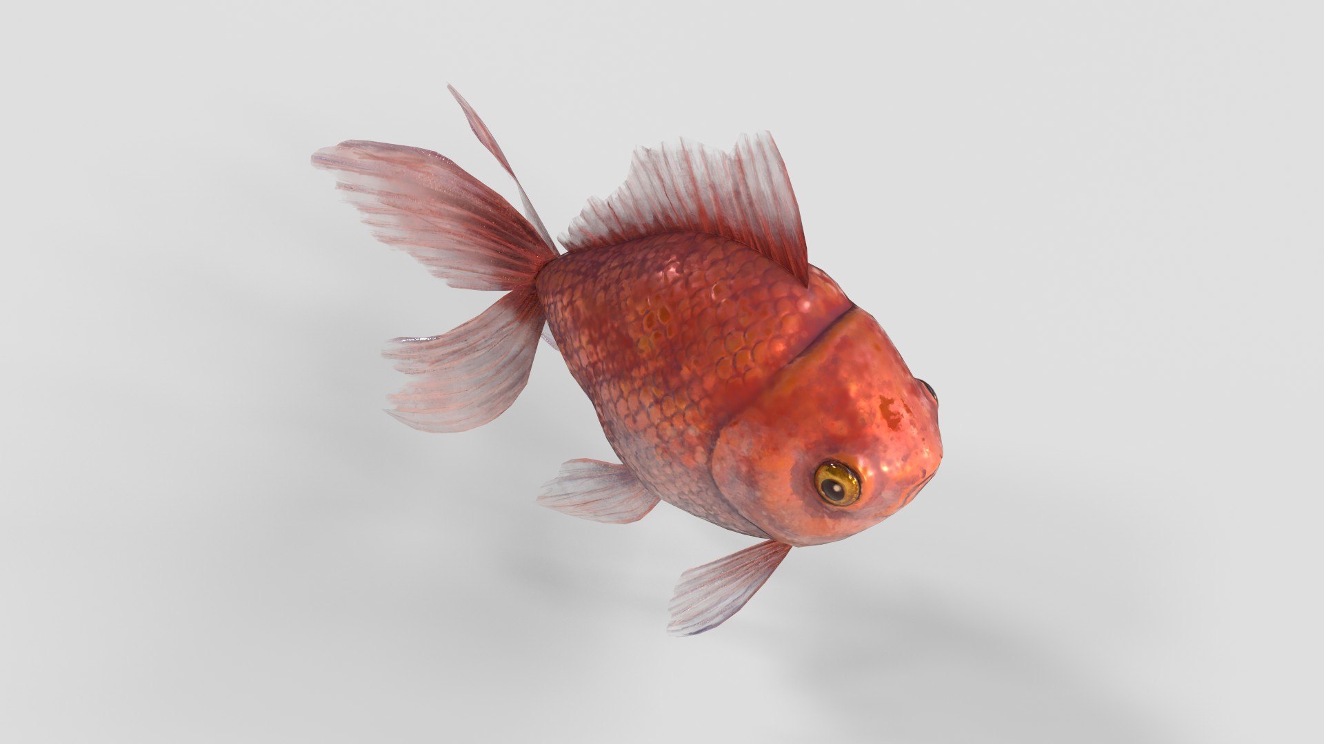Low Poly Goldfish 3D Model - TurboSquid 2209430