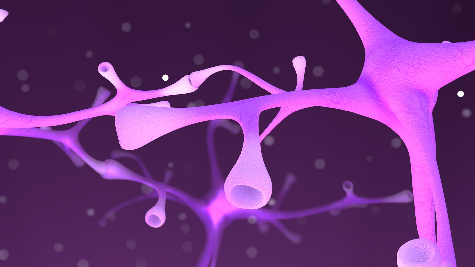 3D Nerve Cell - TurboSquid 2015102