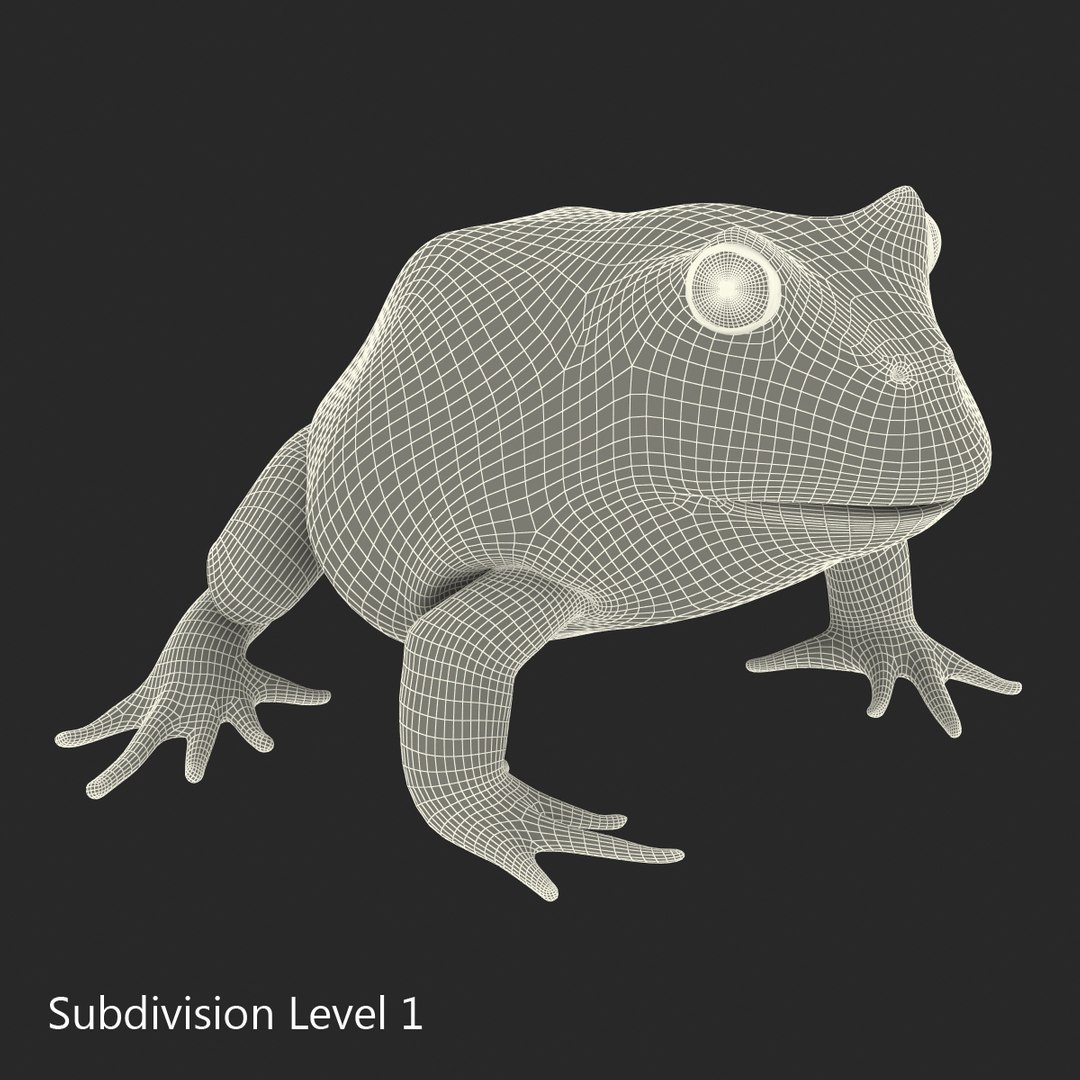 3d Pacman Frog