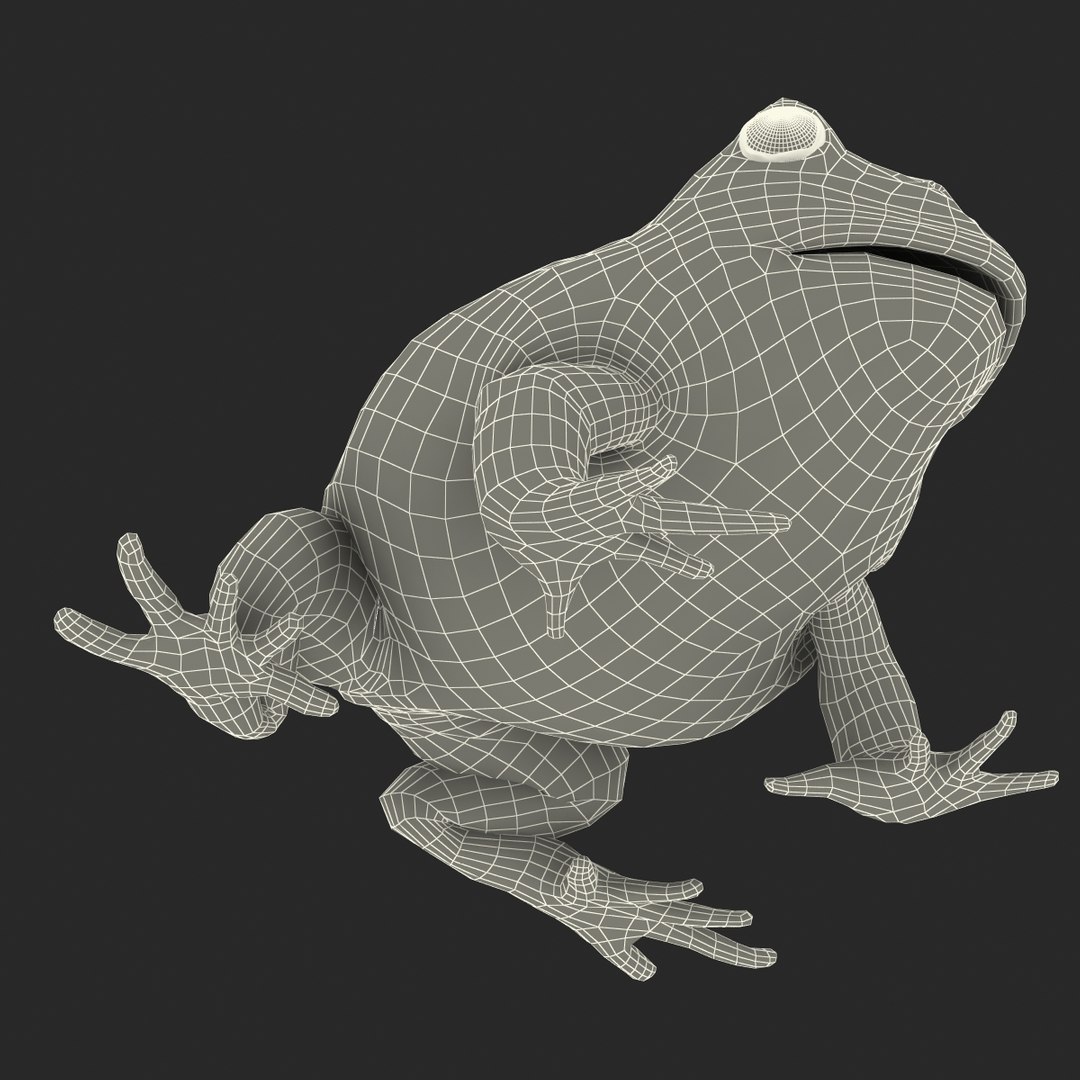 3d Pacman Frog