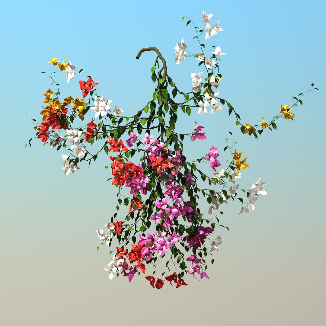 Max Plant Flower