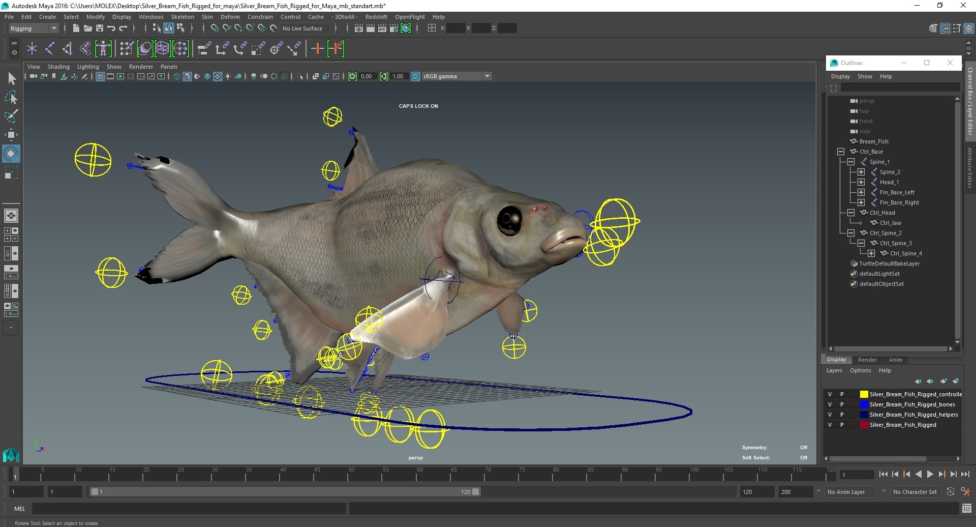 Silver Bream Fish Rigged for Maya 3D model - TurboSquid 2167353