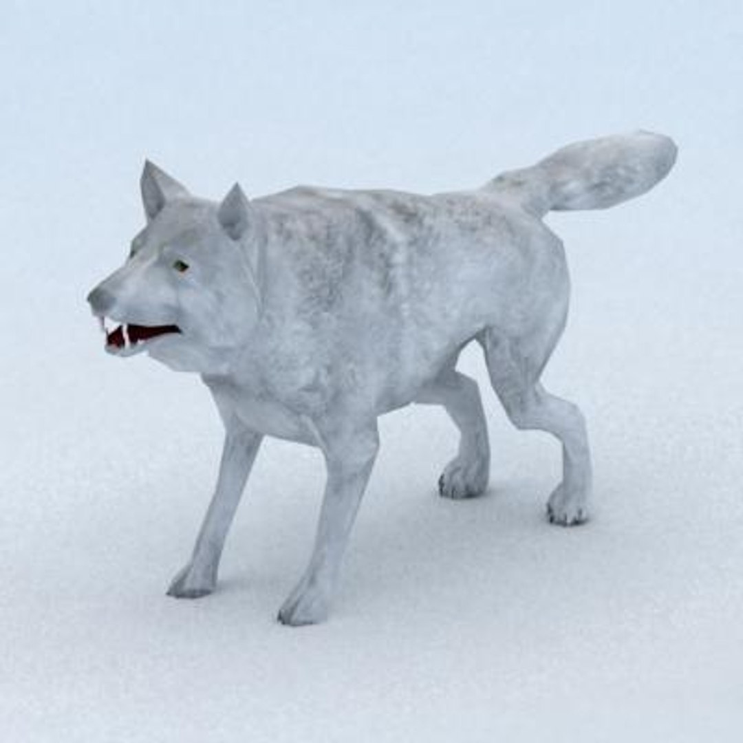 3d Model Of Wolf Skinned Animation