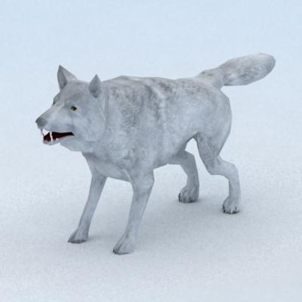 3d model of wolf skinned animation