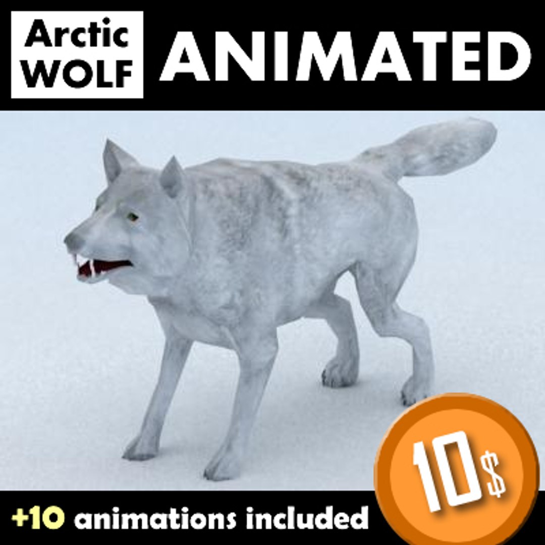 3d Model Of Wolf Skinned Animation