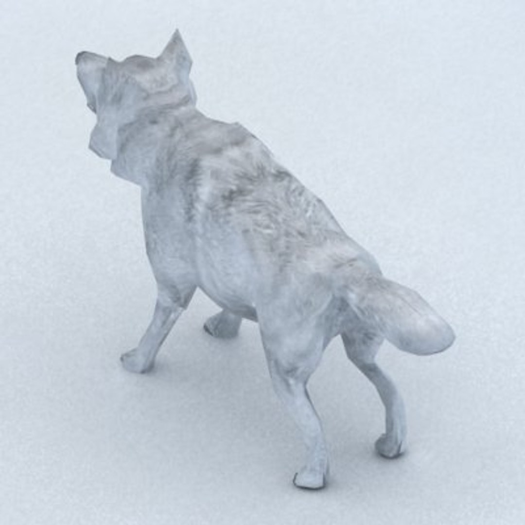 3d Model Of Wolf Skinned Animation