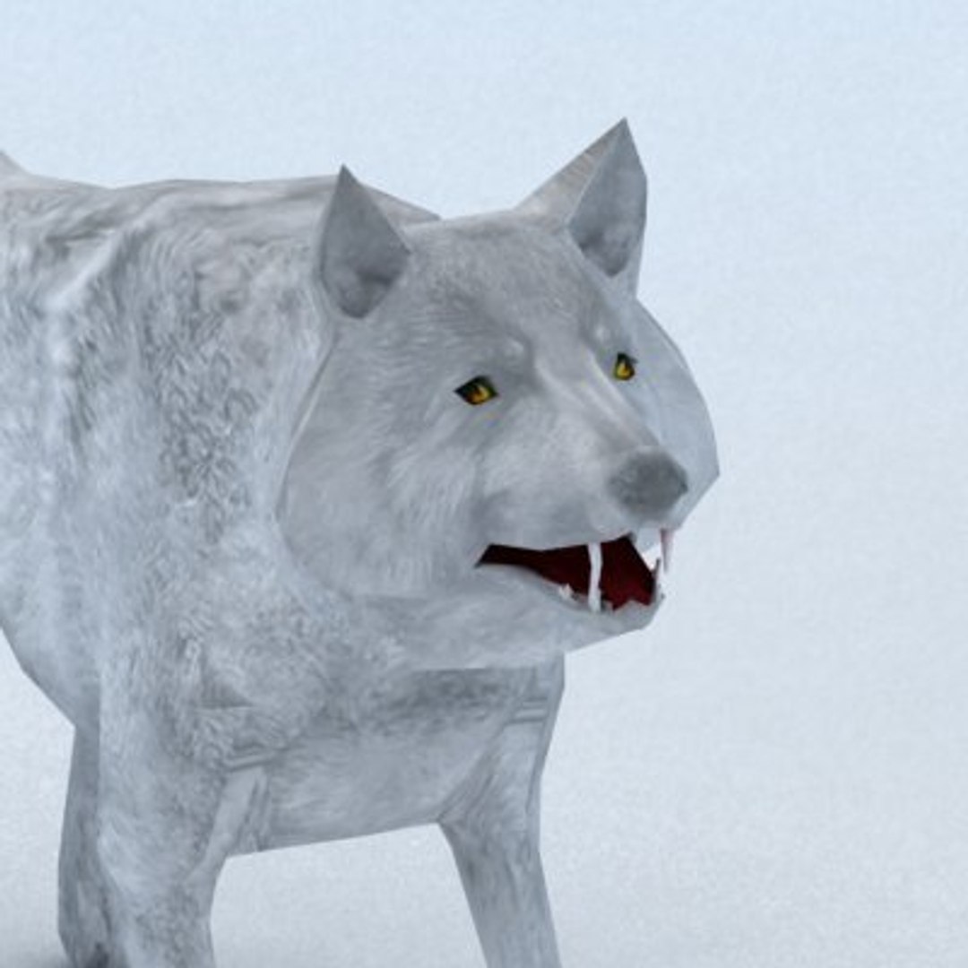 3d Model Of Wolf Skinned Animation
