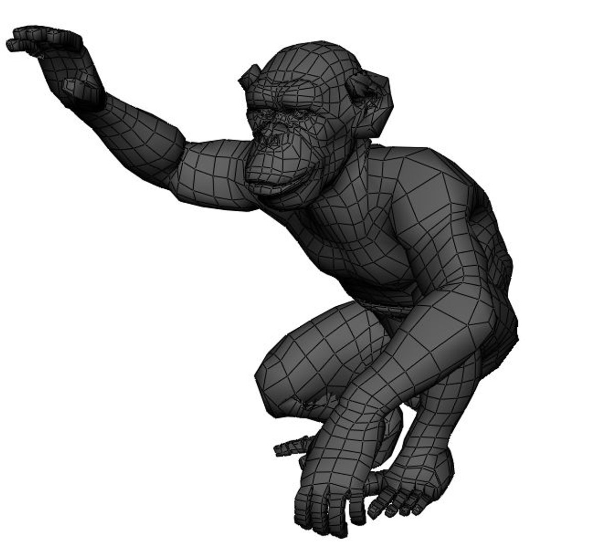 Lwo Chimp Chimpanzee