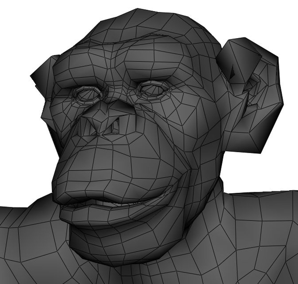 Lwo Chimp Chimpanzee