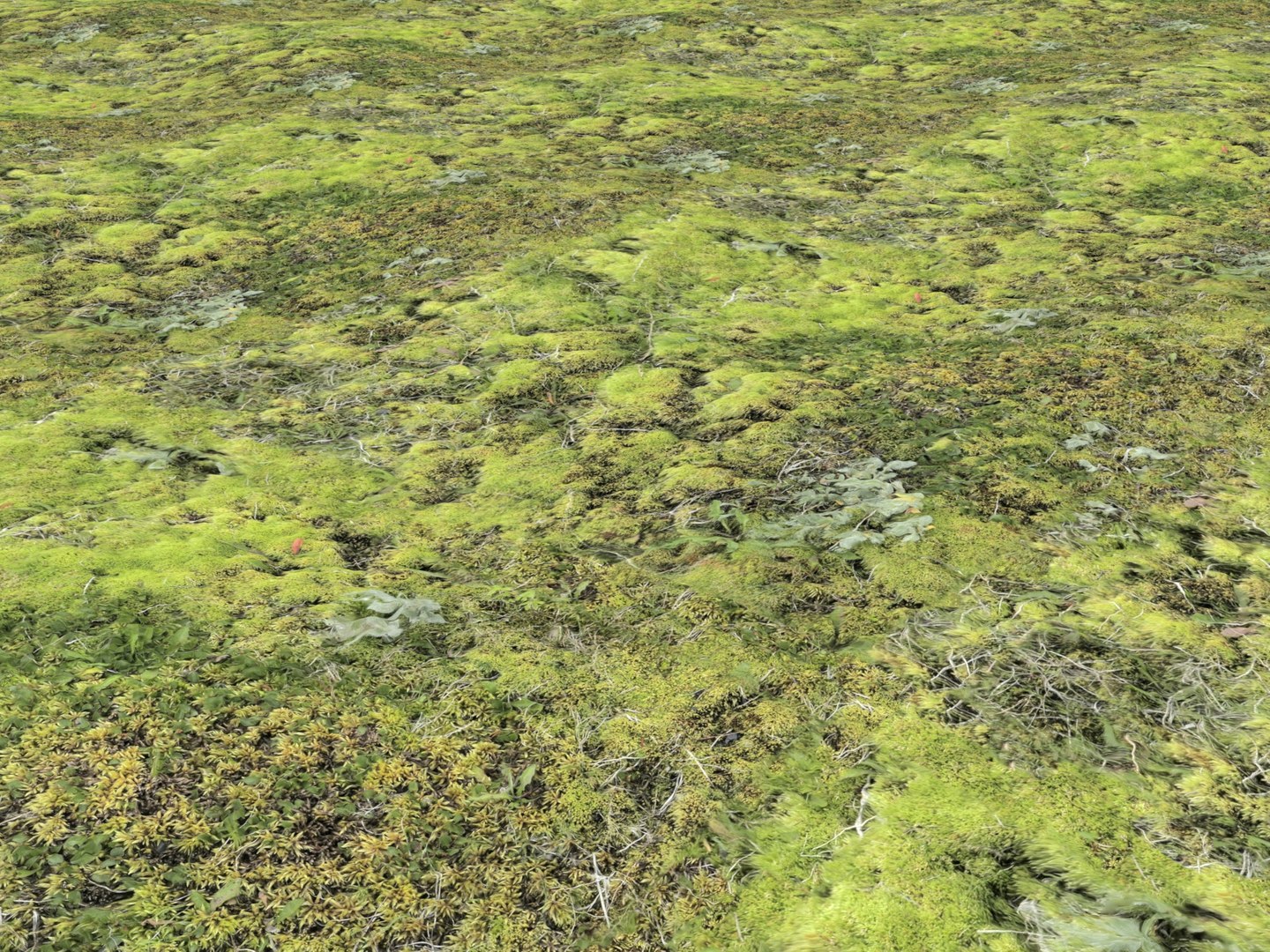 3D Ground Terrain Iceland Model - TurboSquid 1711159