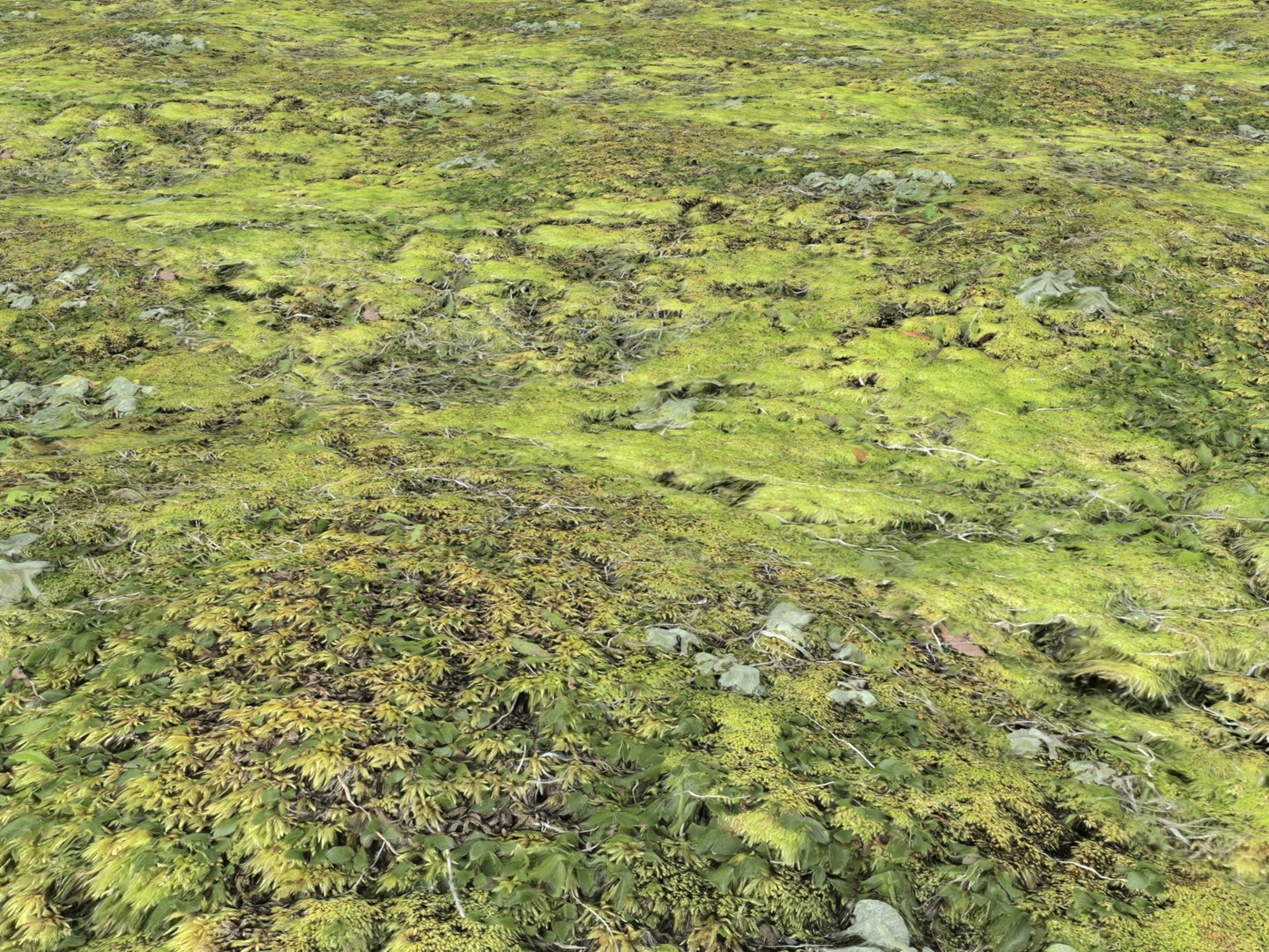 3D Ground Terrain Iceland Model - TurboSquid 1711159
