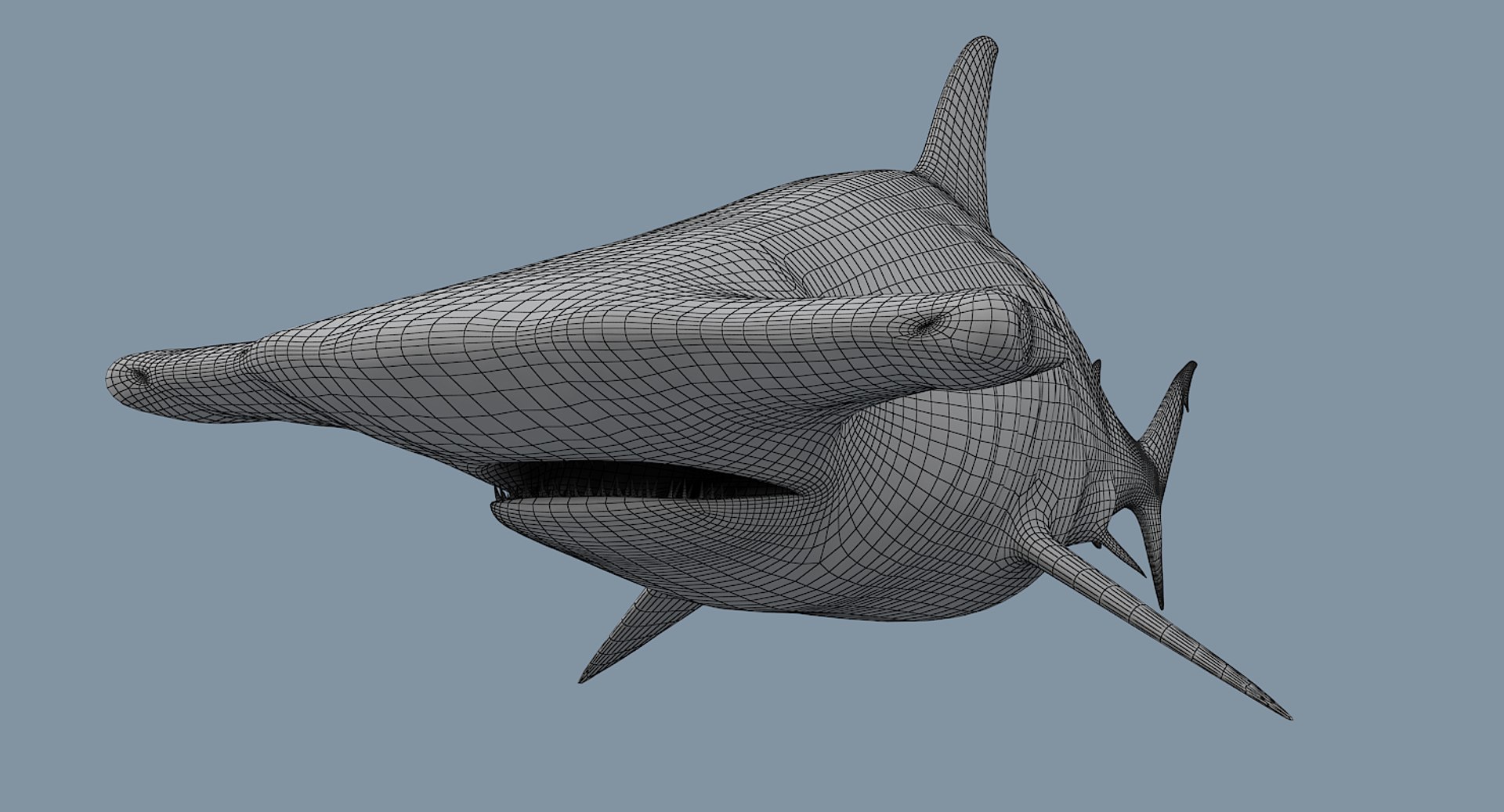 3d Model Hammer Head Shark