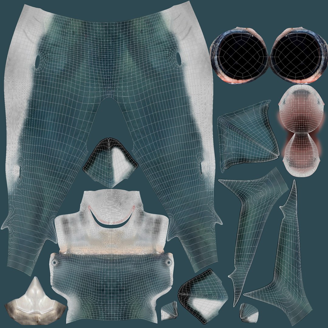 3d Model Hammer Head Shark