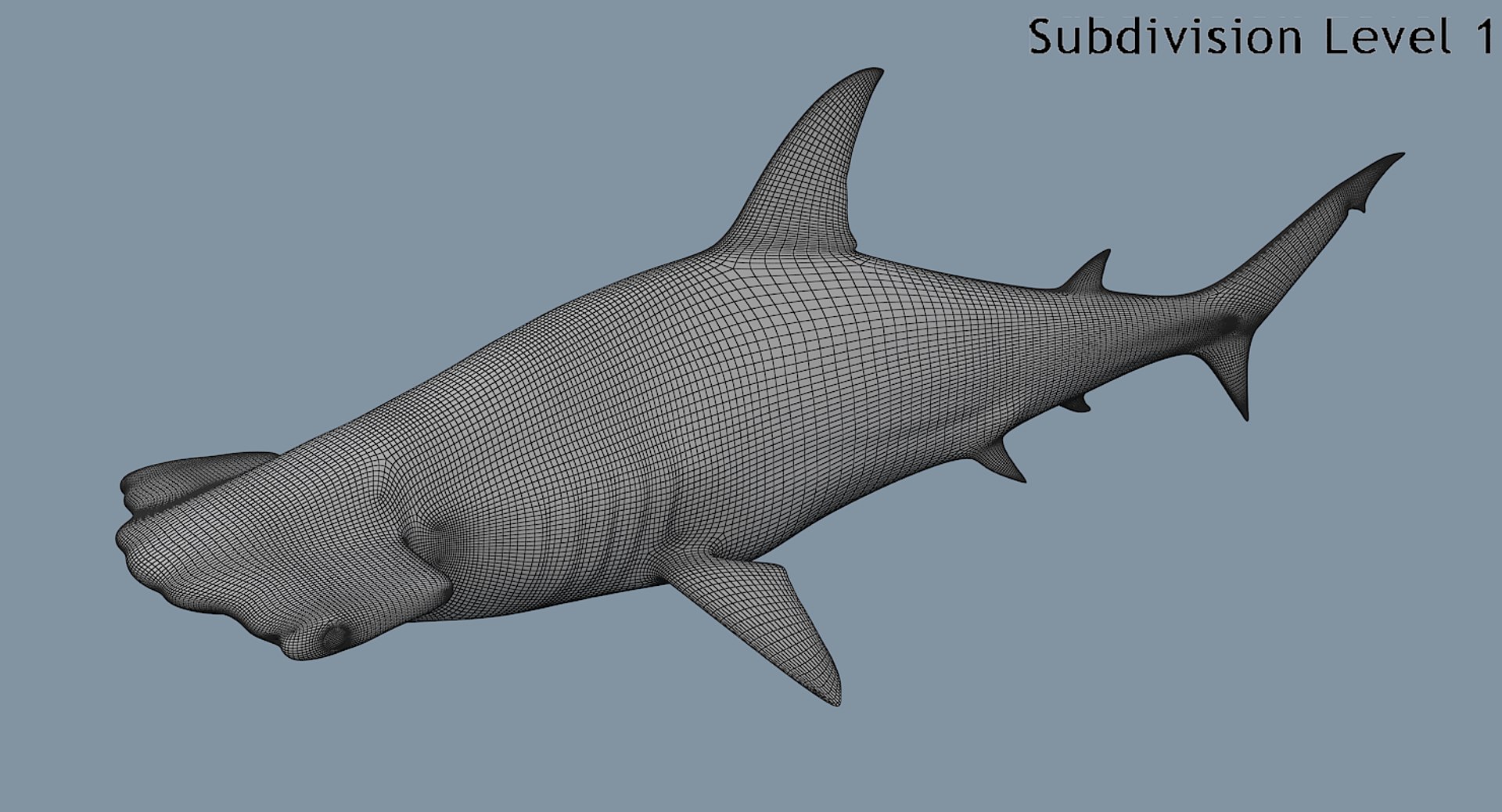 3d Model Hammer Head Shark