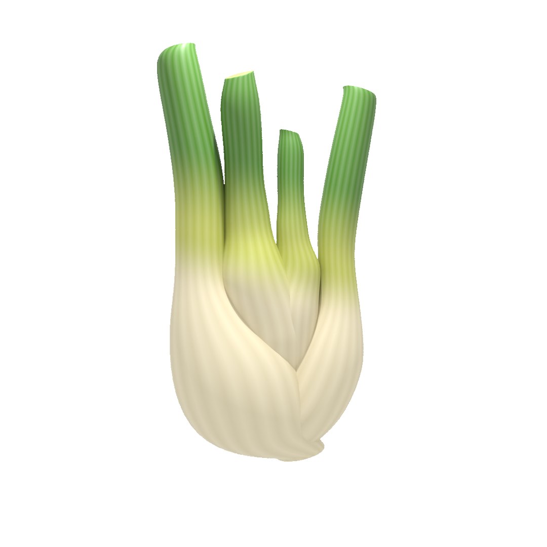 Cartoon Fennel Model - TurboSquid 2263045