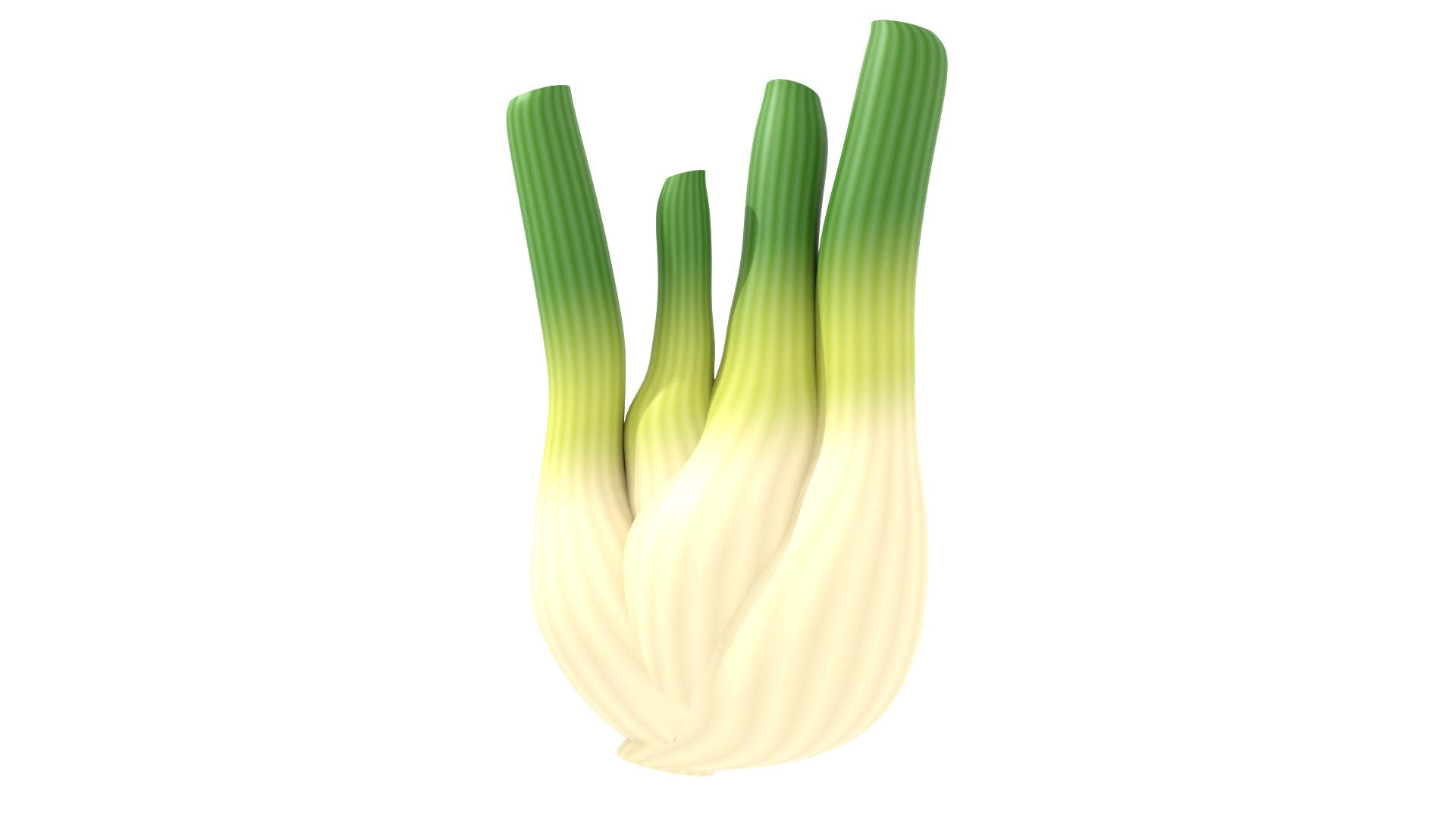 Cartoon Fennel Model - TurboSquid 2263045