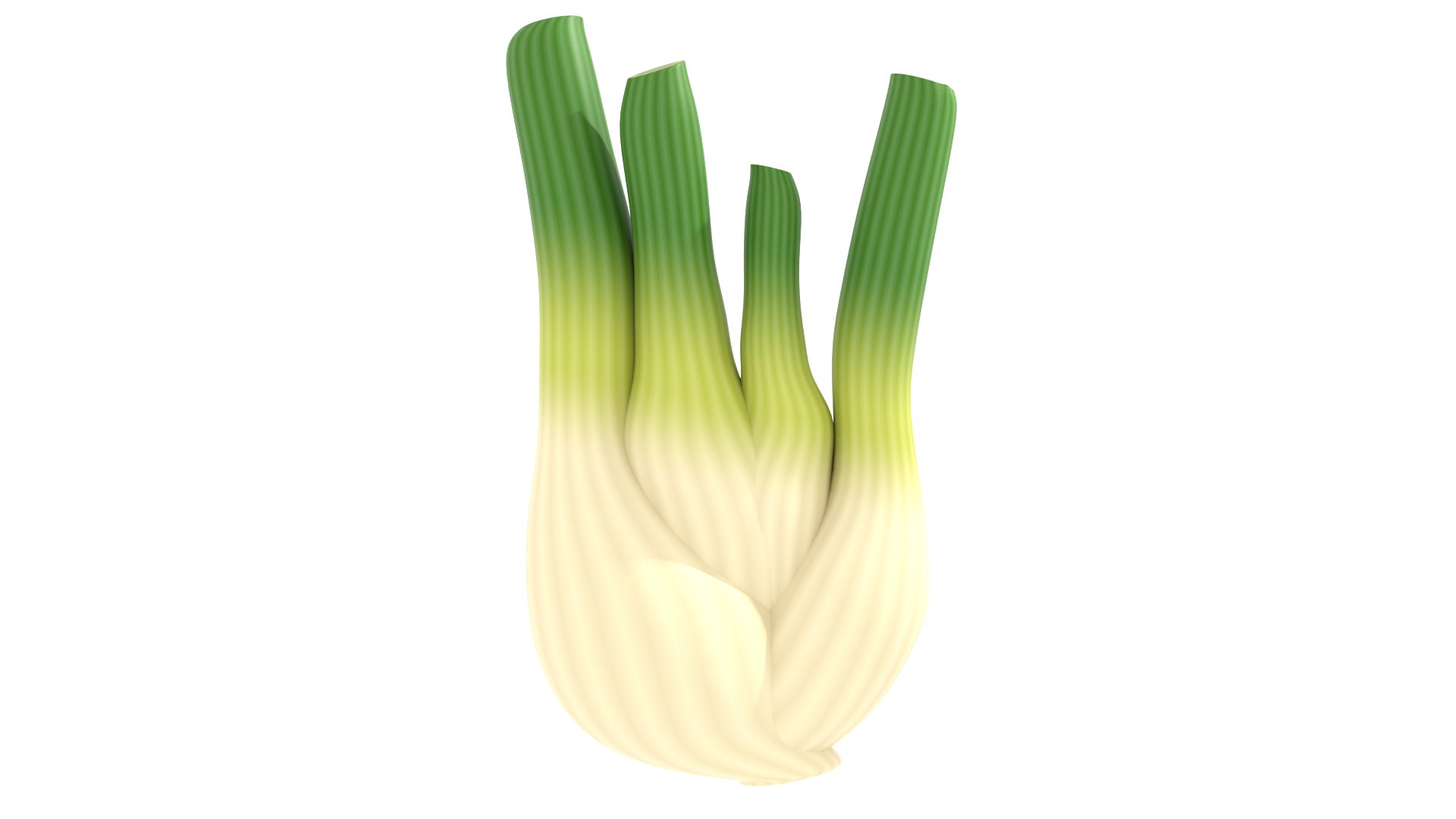 Cartoon Fennel Model - TurboSquid 2263045