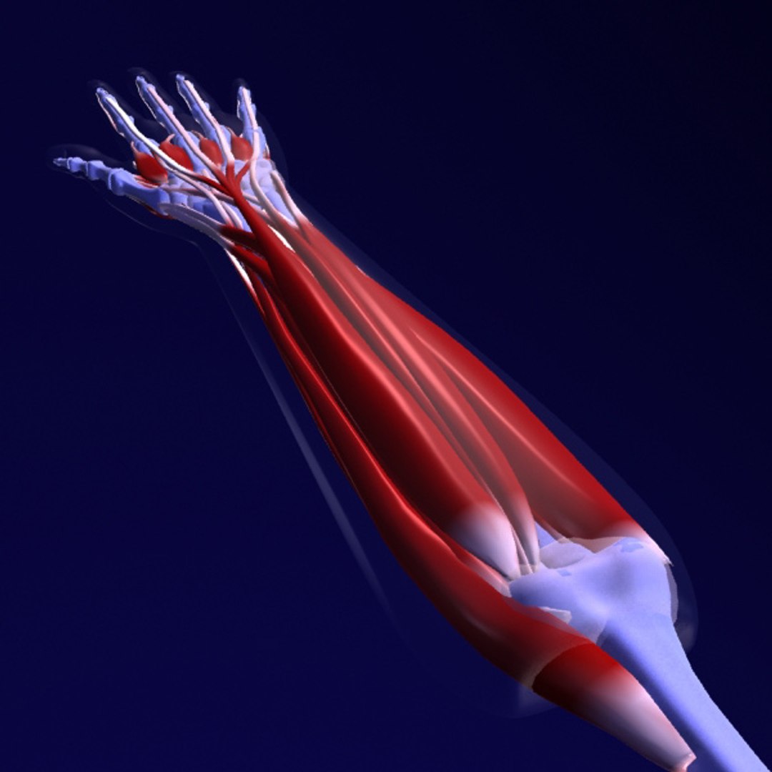 Max Correct Arm