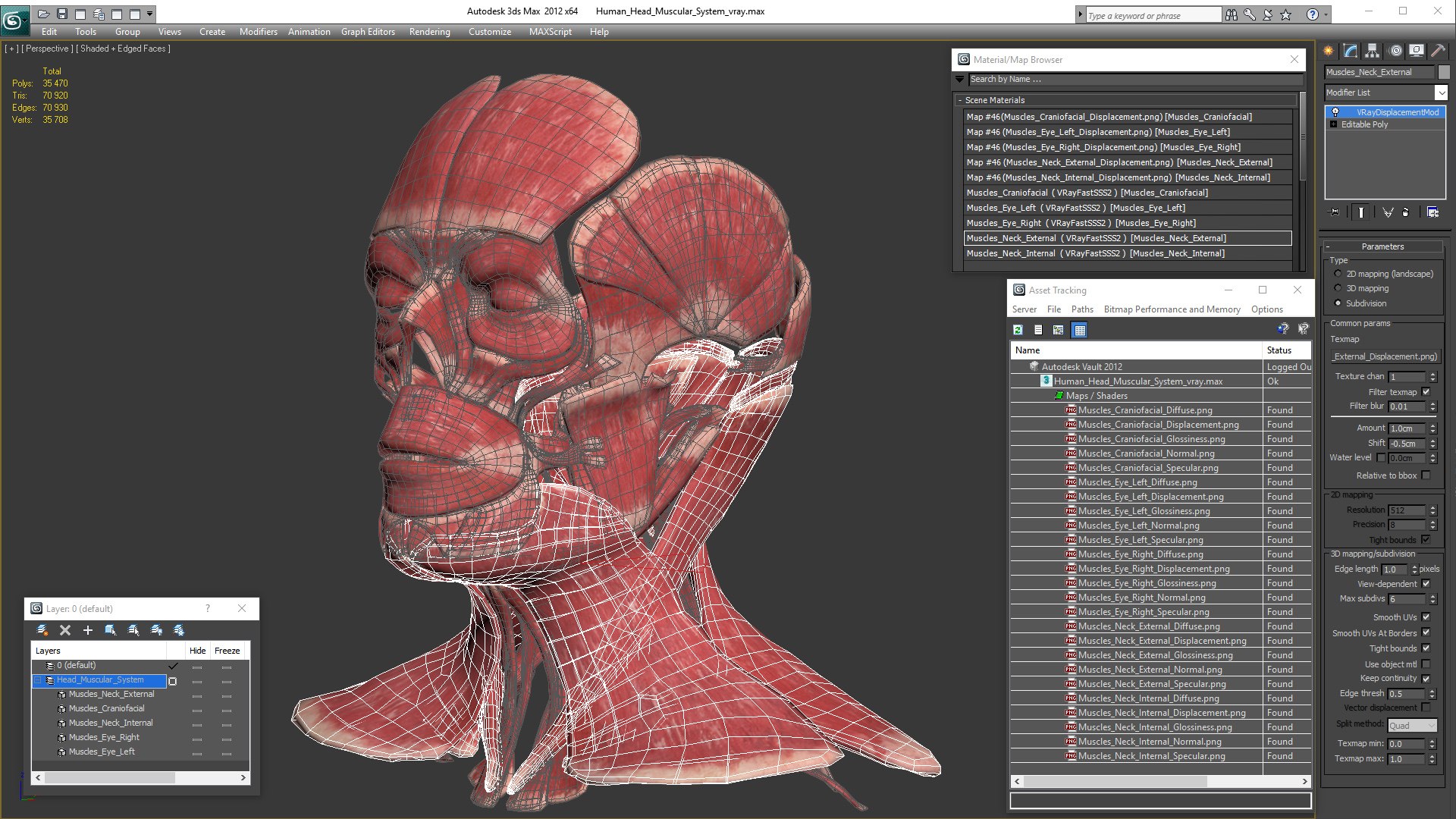 Human Head Muscular Male 3D Model - TurboSquid 1462550