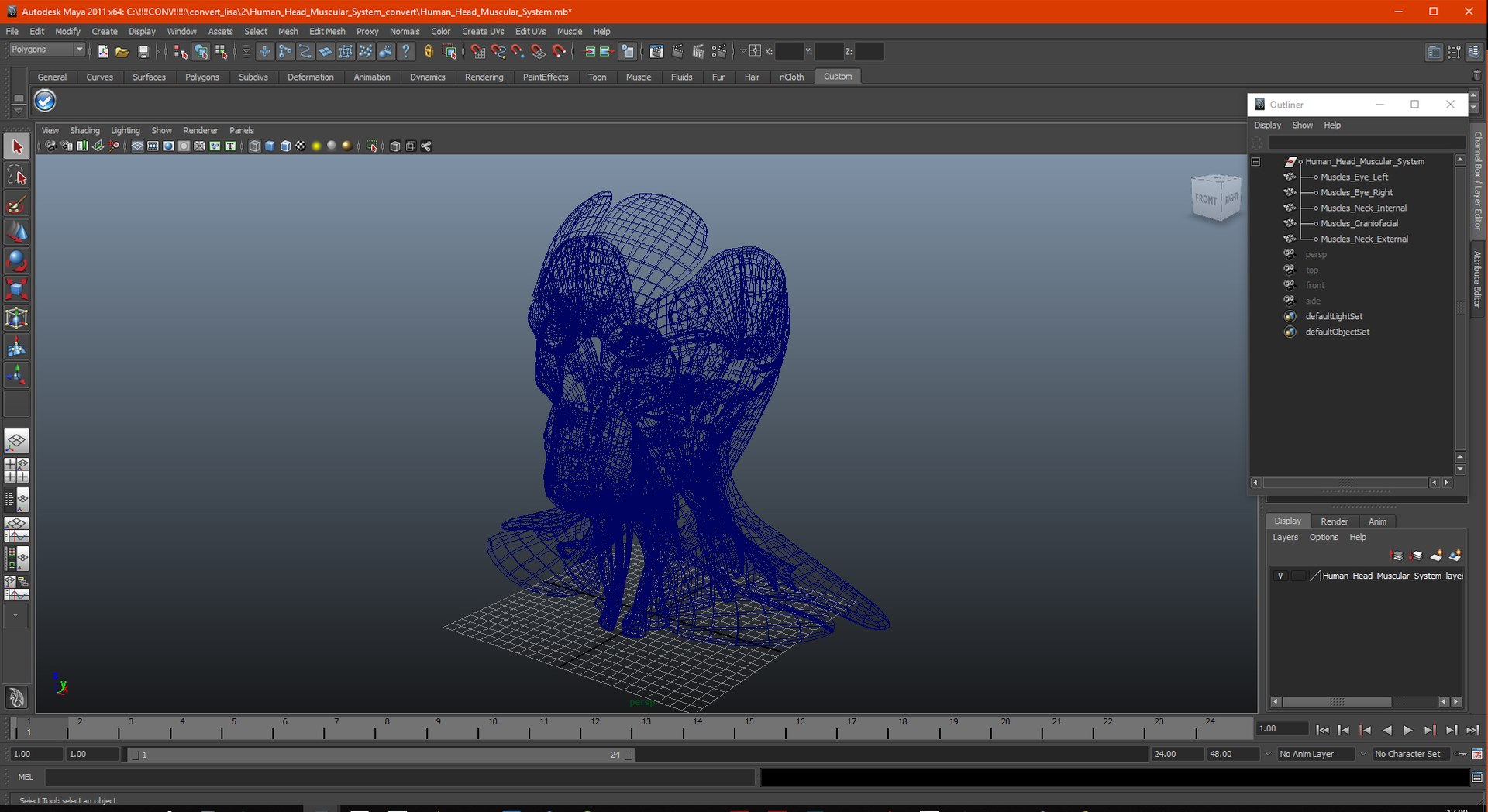Human head muscular male 3D model - TurboSquid 1462550