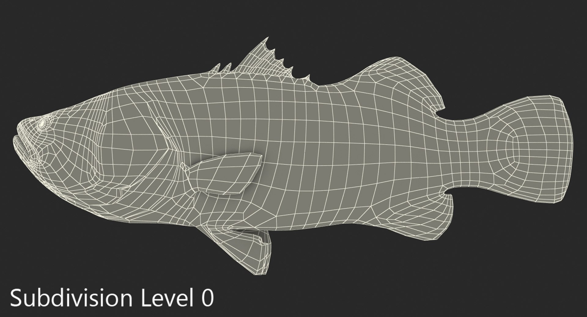 3D Asian Sea Bass Fish - TurboSquid 1350970