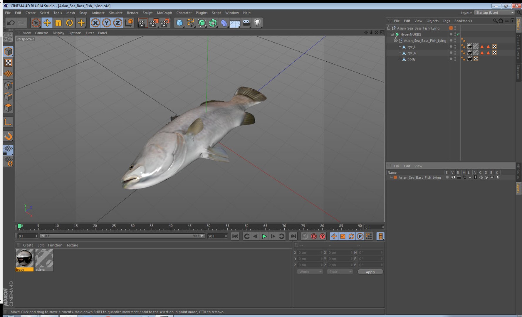3D Asian Sea Bass Fish - TurboSquid 1350970