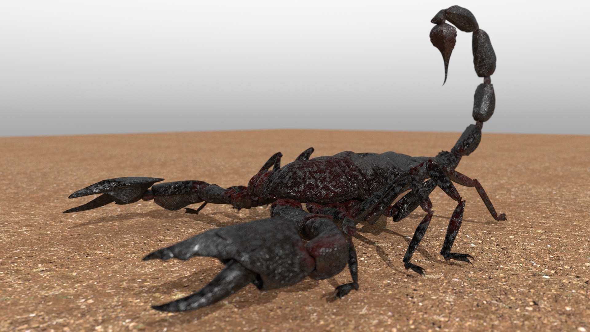 Scorpion Texturing 3d Lwo