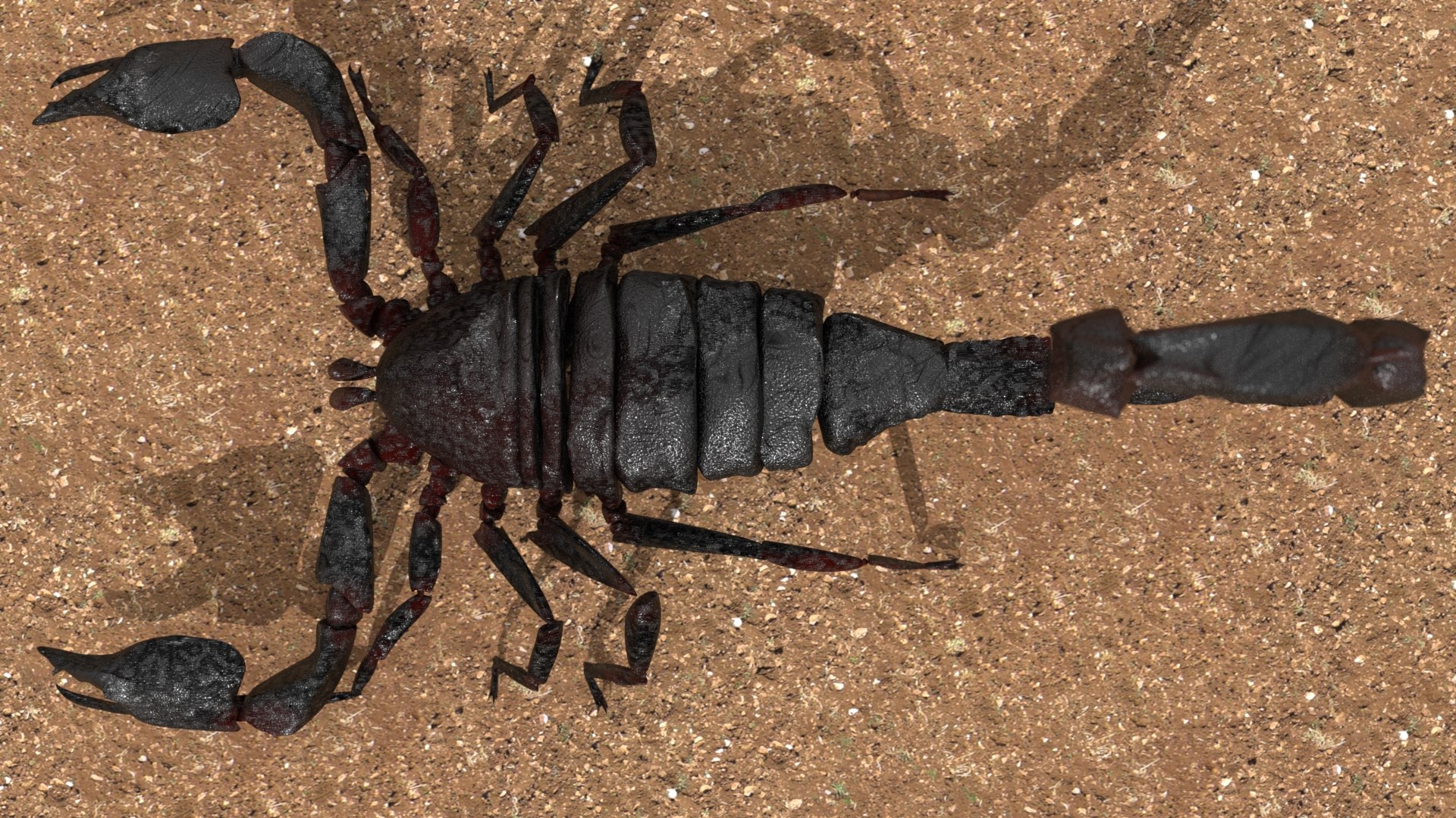 Scorpion Texturing 3d Lwo