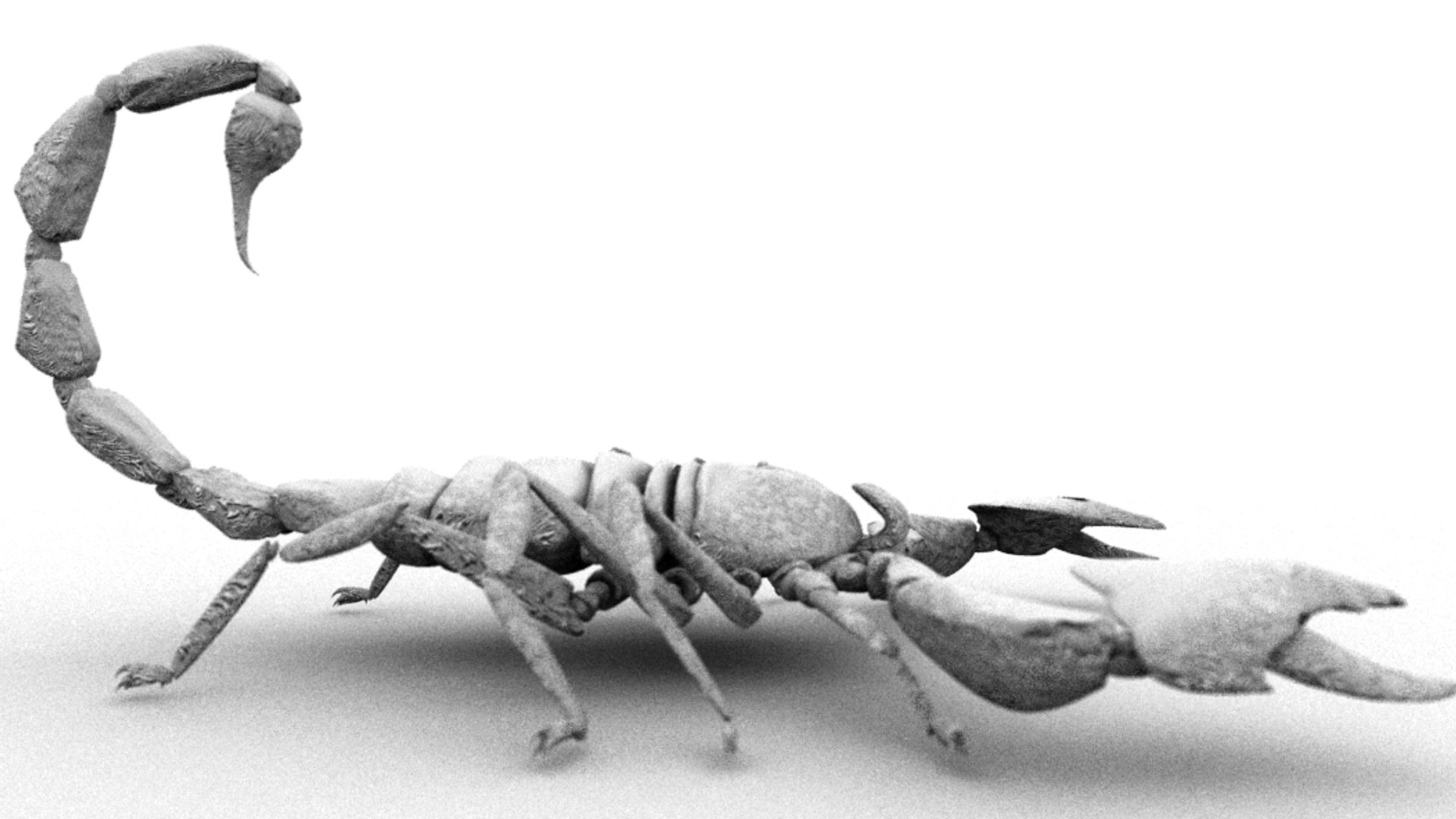 Scorpion Texturing 3d Lwo