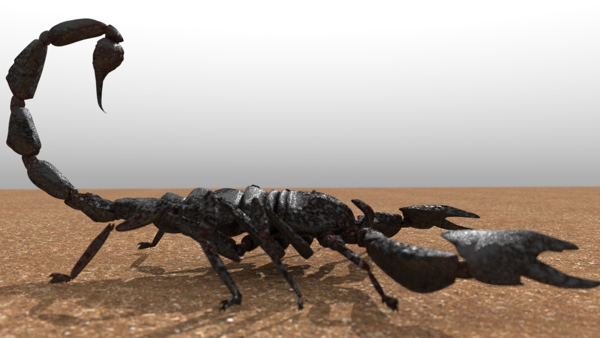 Scorpion Texturing 3d Lwo