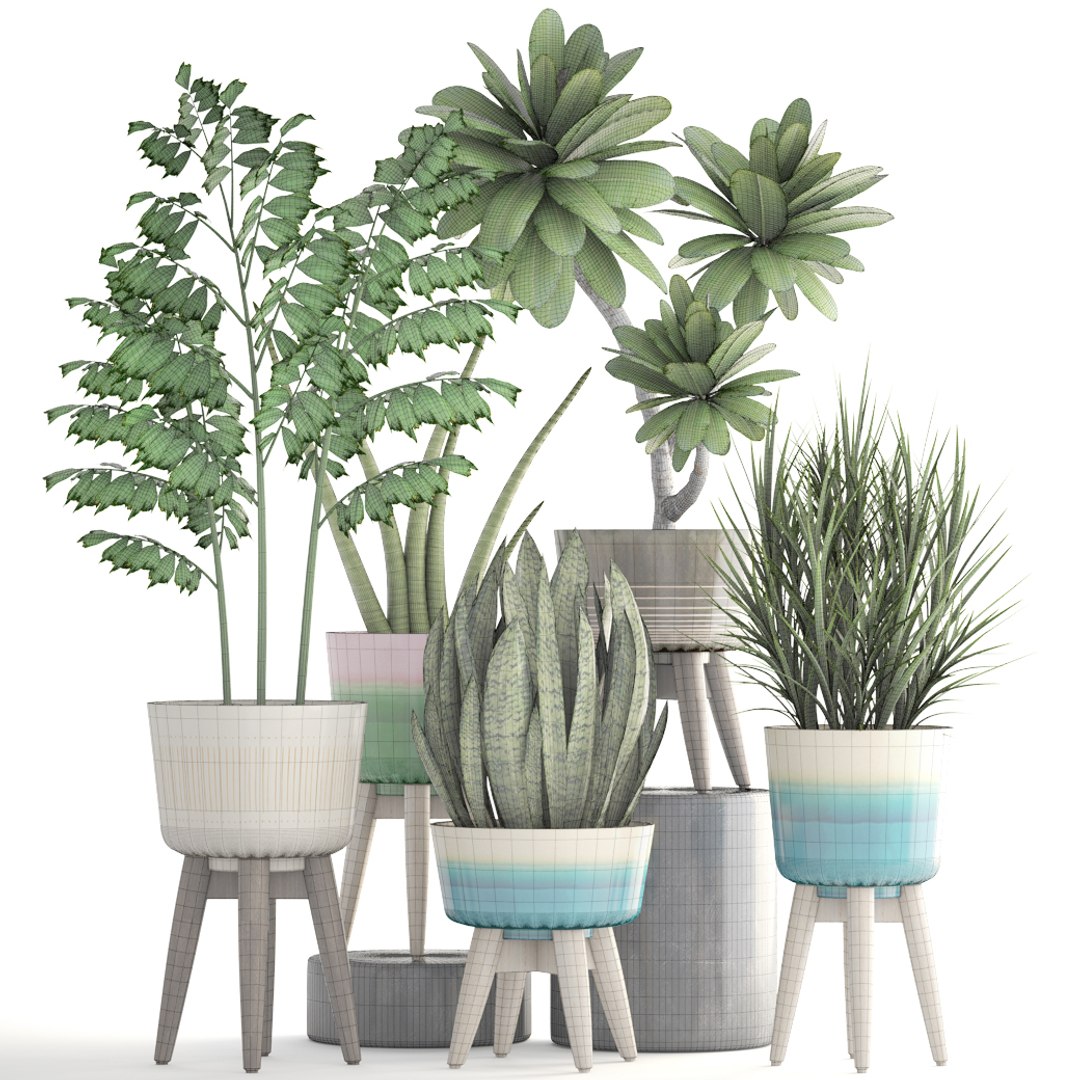 Plants Pots 3D Model - TurboSquid 1261628
