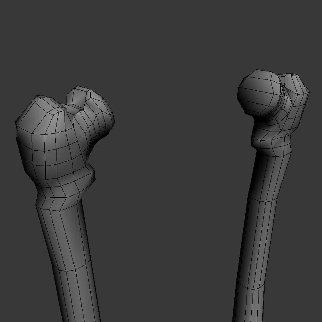 Skeleton Leg Max