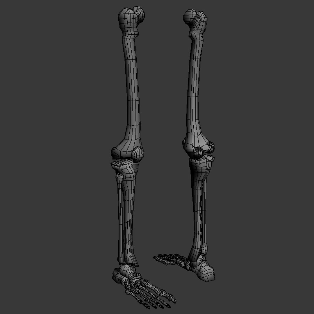 Skeleton Leg Max