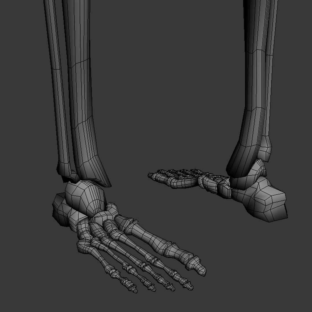 Skeleton Leg Max