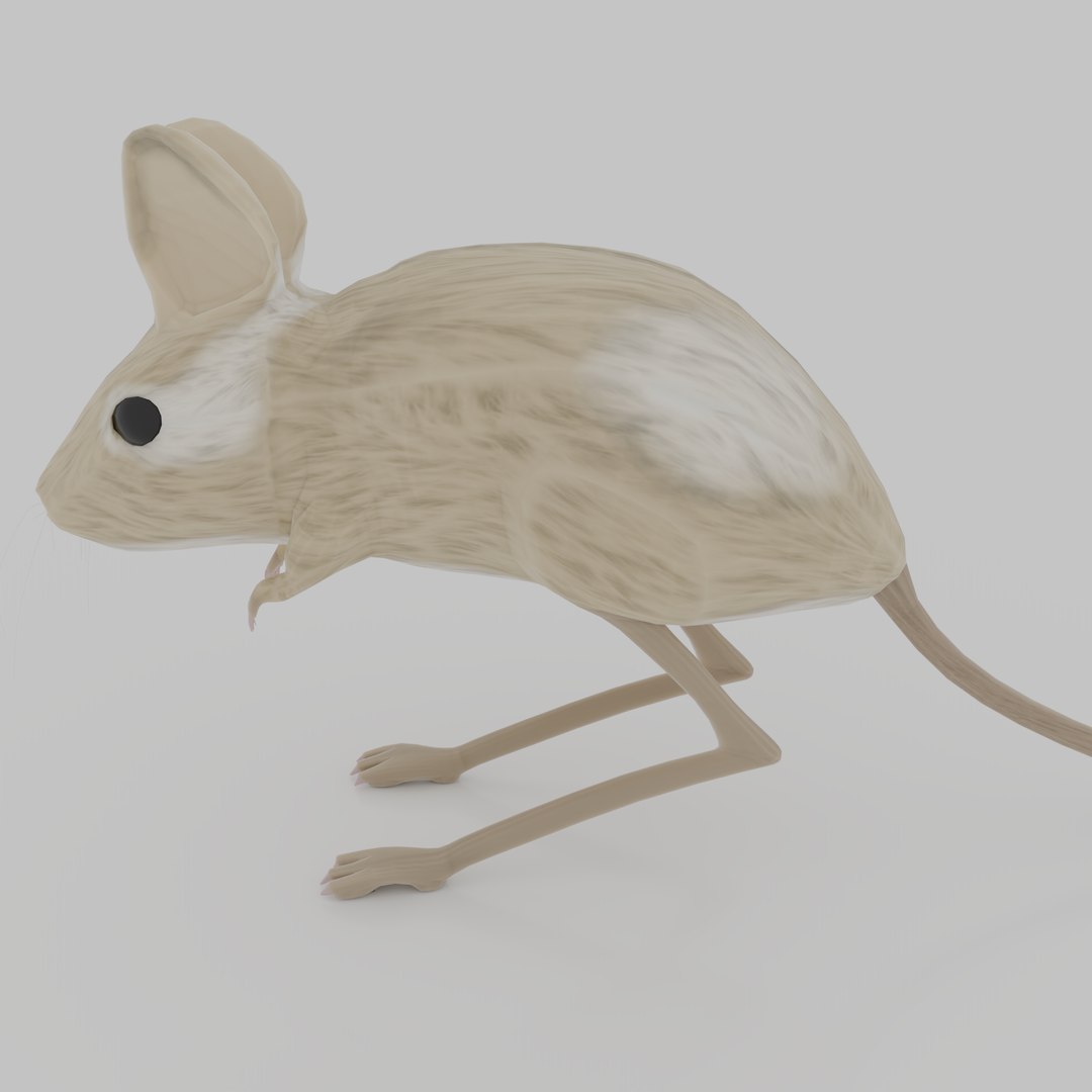 3D Model Greater Egyptian Jerboa - TurboSquid 2308334