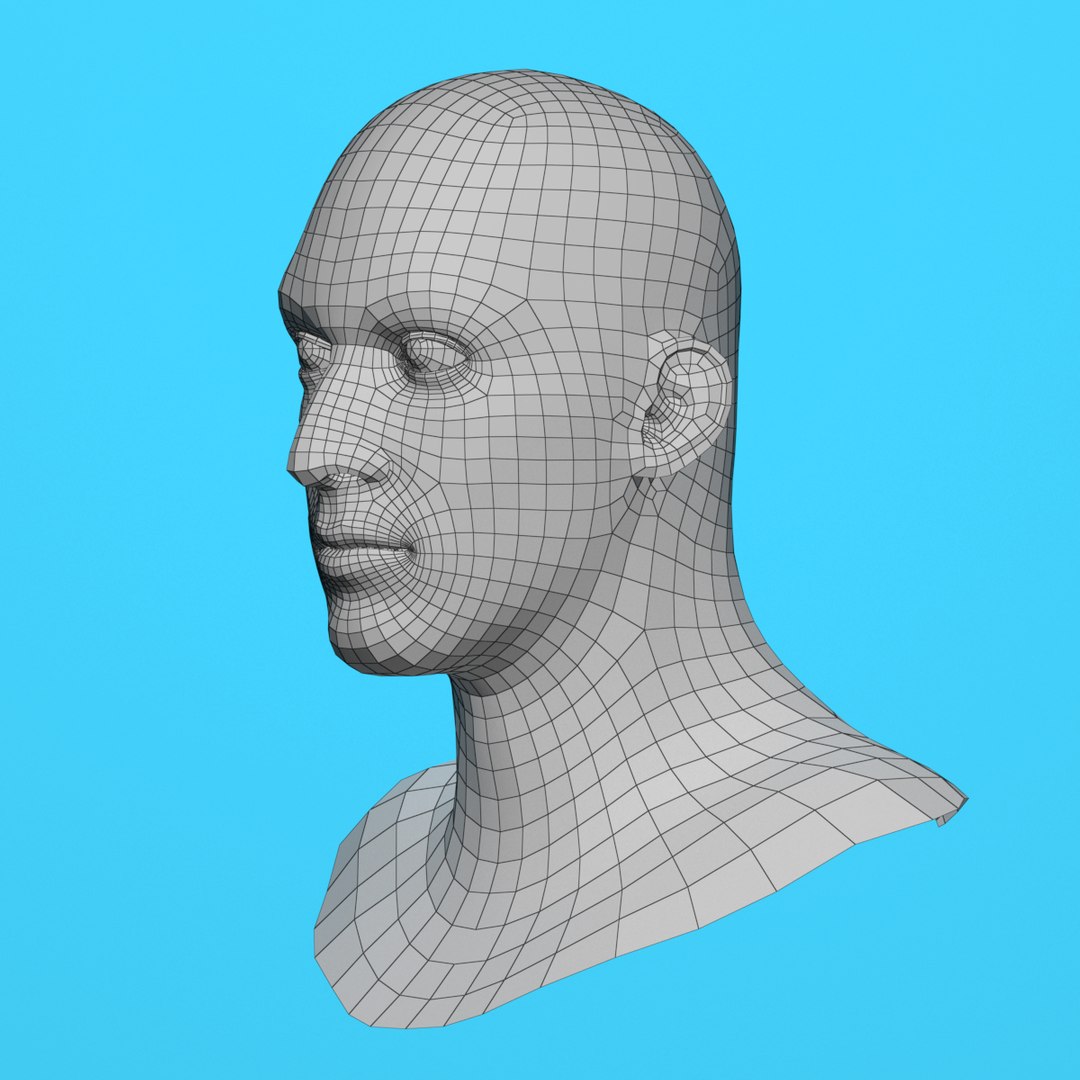 Realistic Male Head 3D Model - TurboSquid 1340947