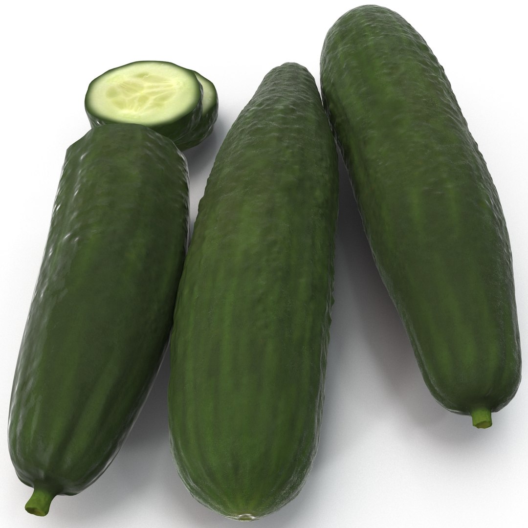 3d Model Cucumber 3