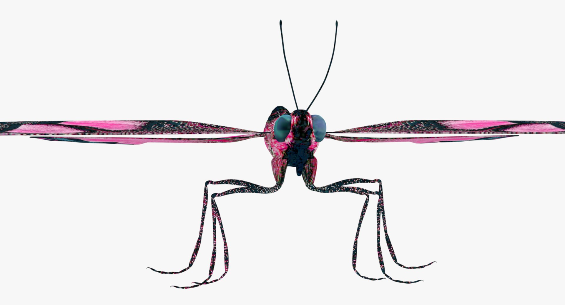 Butterfly Pink 3D - TurboSquid 1300370