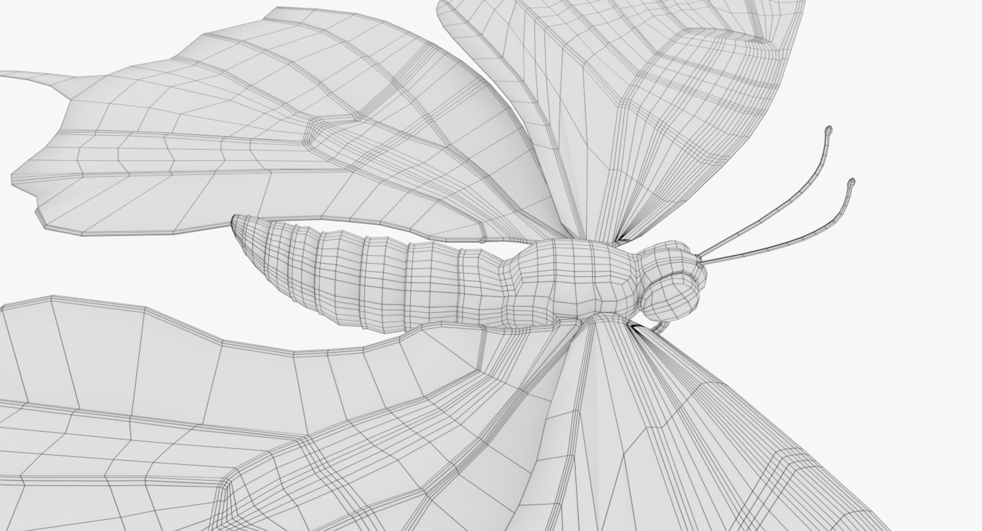 Butterfly Pink 3D - TurboSquid 1300370