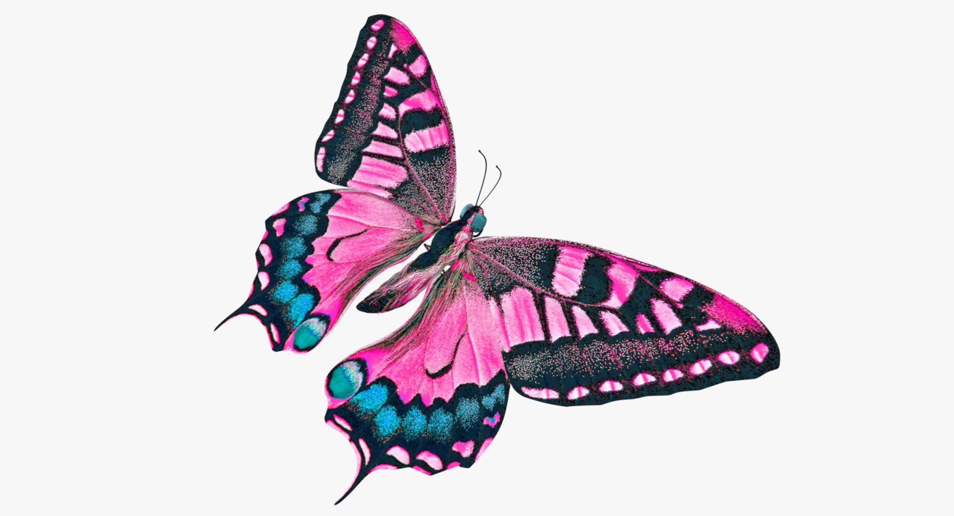 Butterfly Pink 3D - TurboSquid 1300370