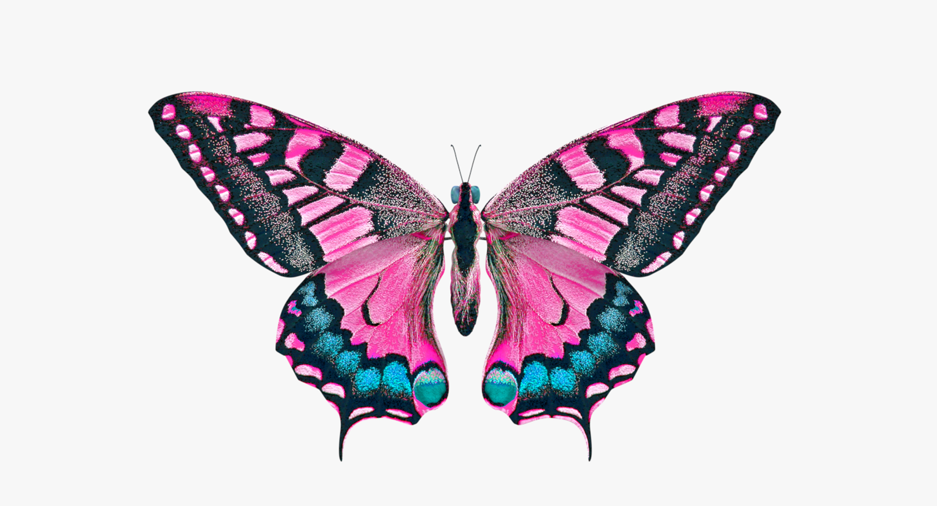Butterfly Pink 3D - TurboSquid 1300370