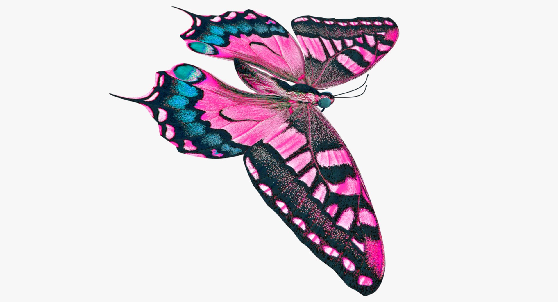 Butterfly Pink 3D - TurboSquid 1300370