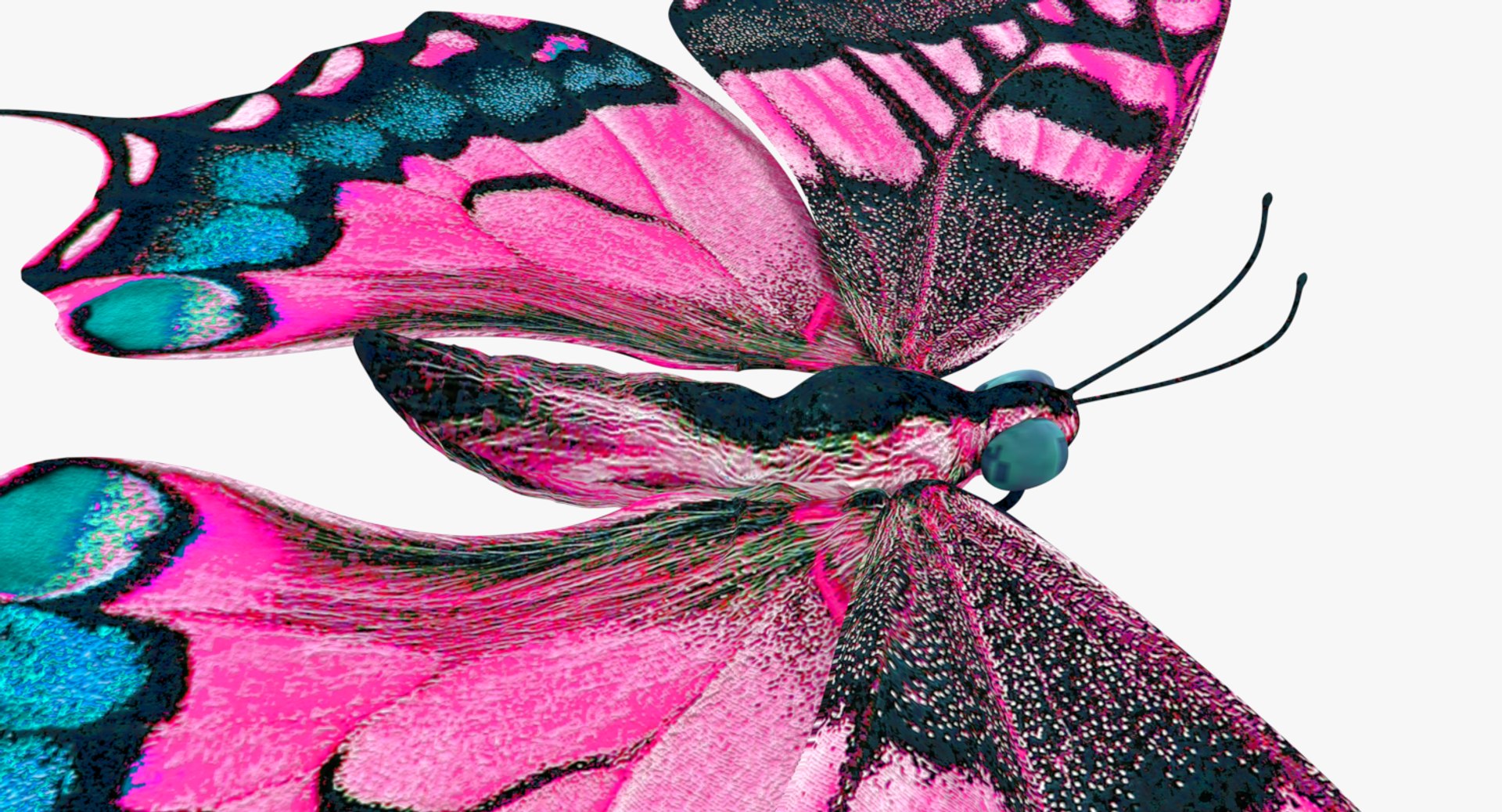 Butterfly Pink 3D - TurboSquid 1300370