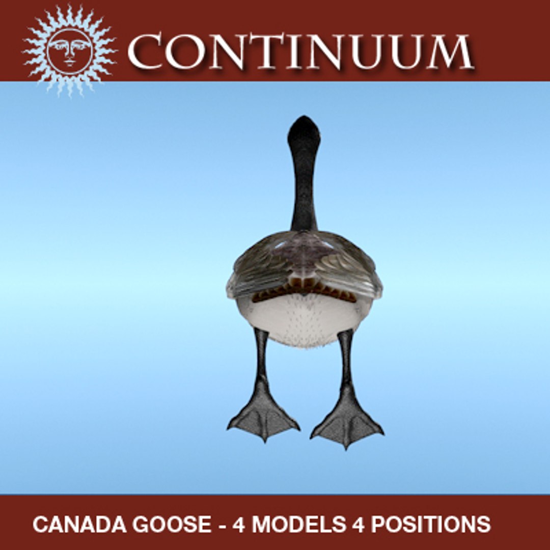 3d Canada Goose Static 4