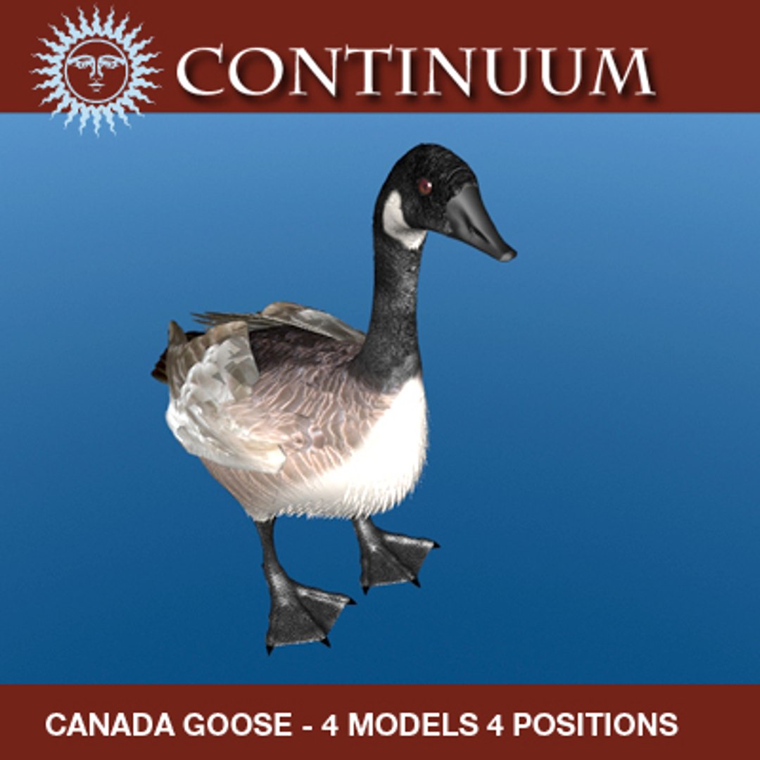 3d Canada Goose Static 4