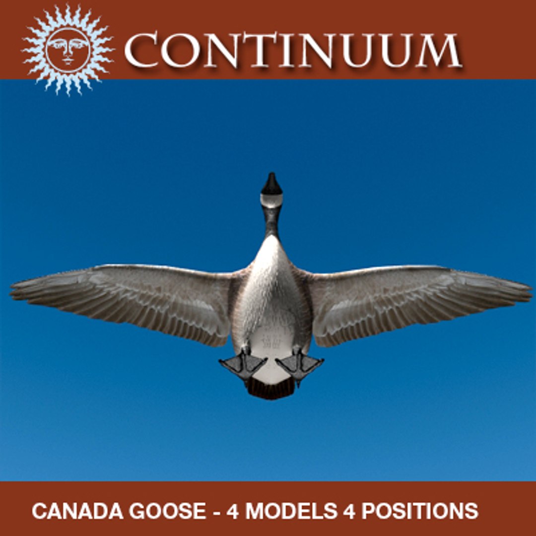 3d Canada Goose Static 4