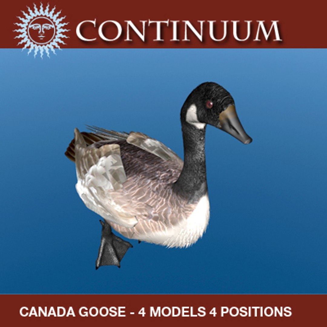 3d Canada Goose Static 4