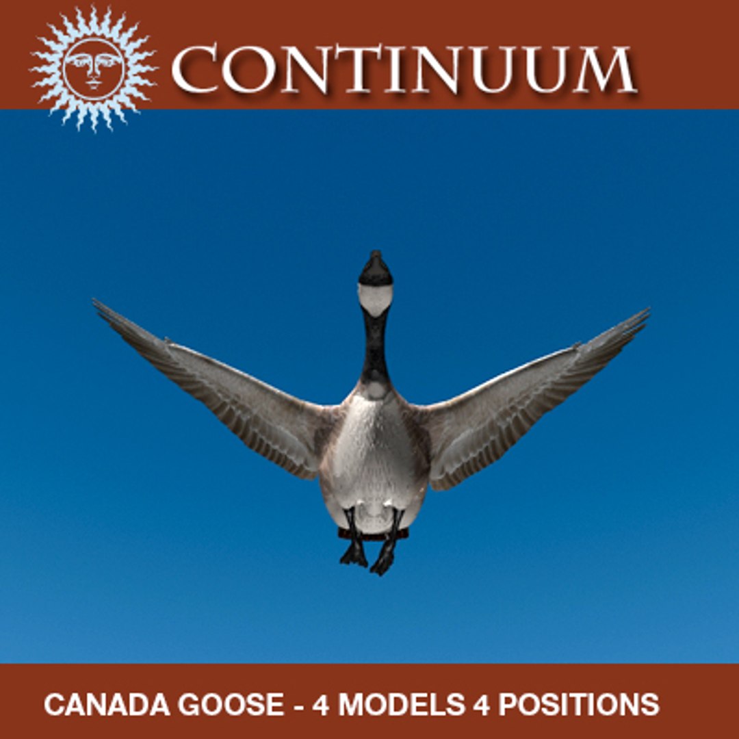 3d Canada Goose Static 4